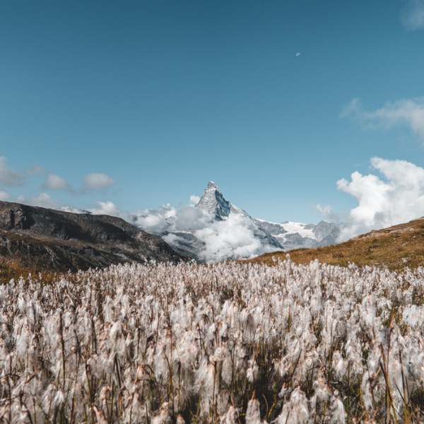 Zermatt - Randonnée des 5 lacs - Rando Facile