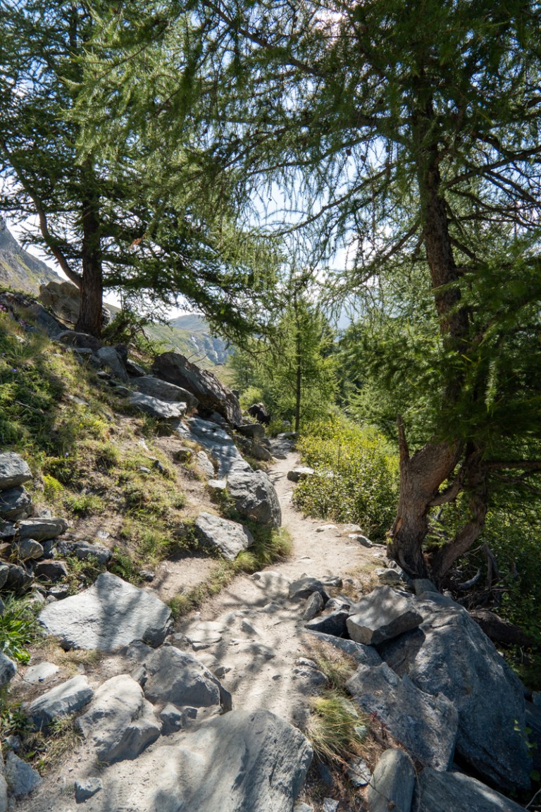 Zermatt - Randonnée des 5 lacs - Rando Facile