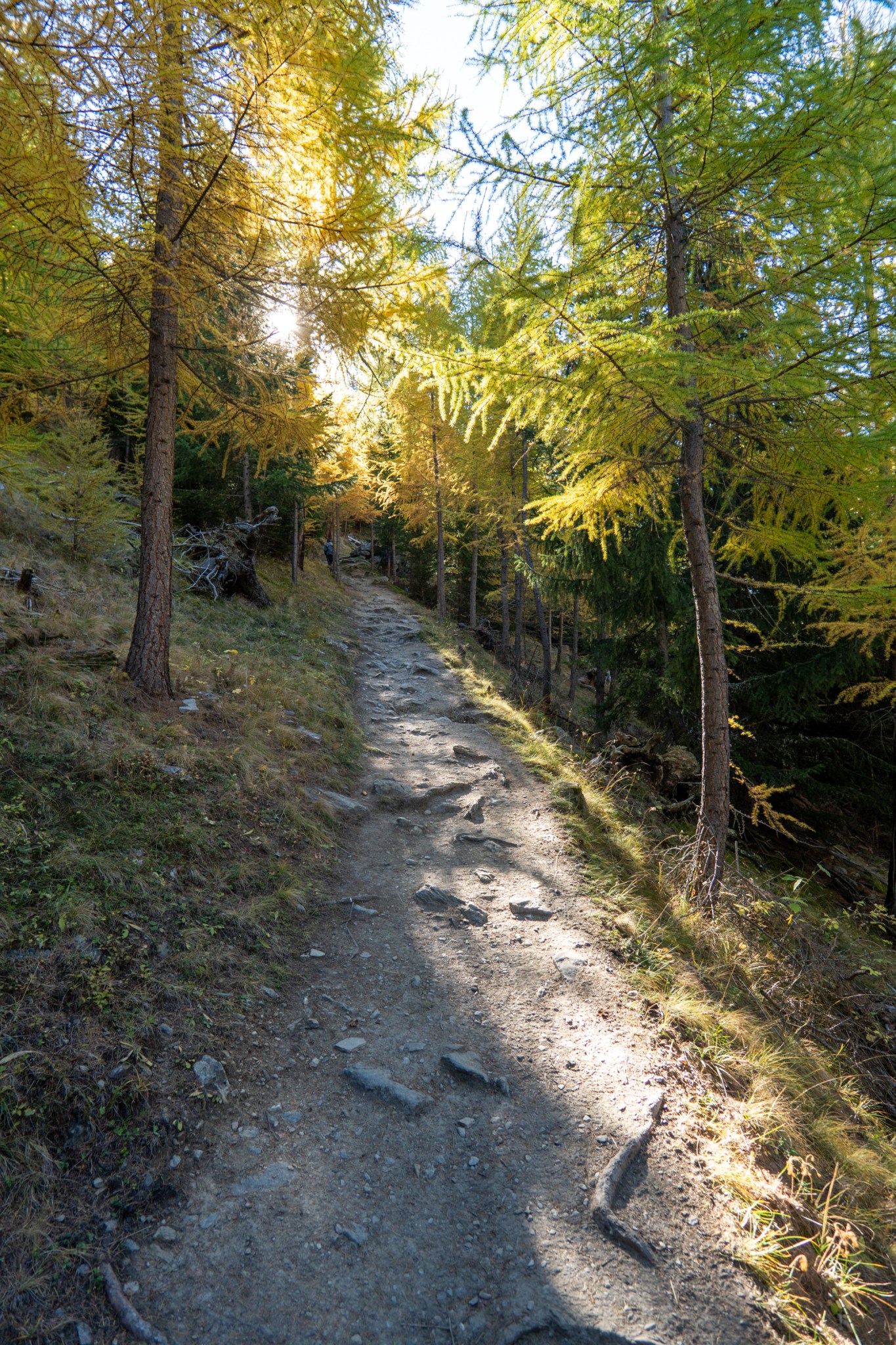 Pont de Randa - Charles Kuonen - Rando Facile