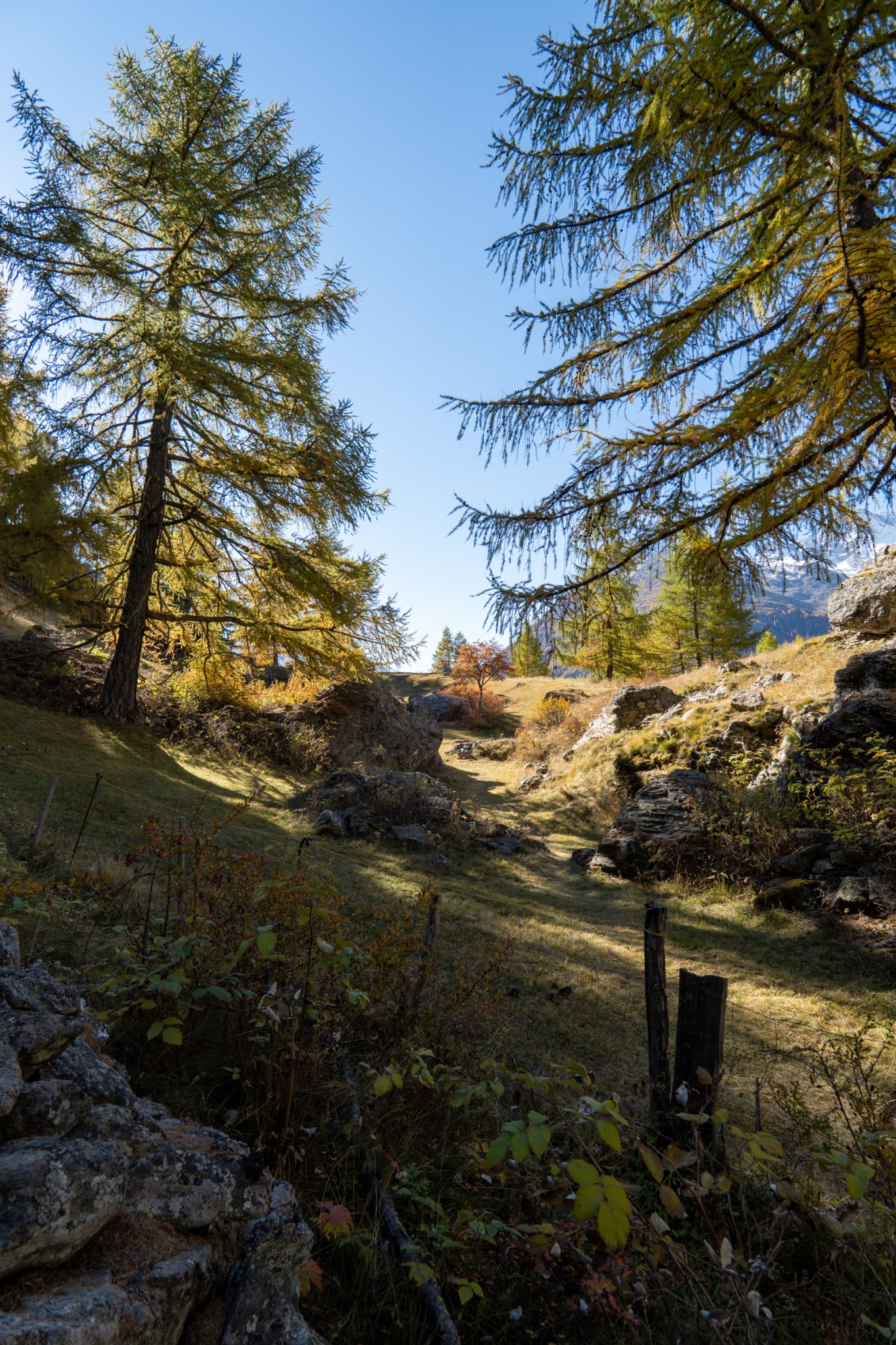 Pont de Randa - Charles Kuonen - Rando Facile