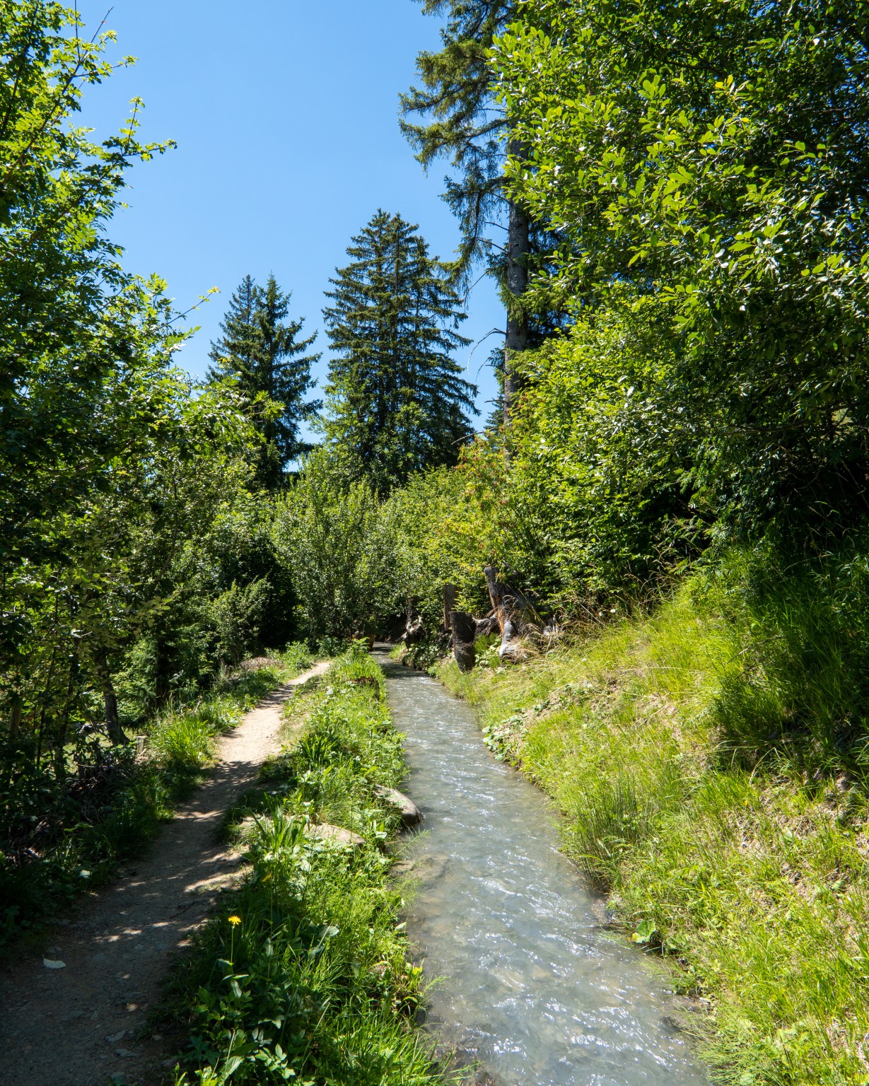 Grand Bisse d'Ayent - Rando Facile