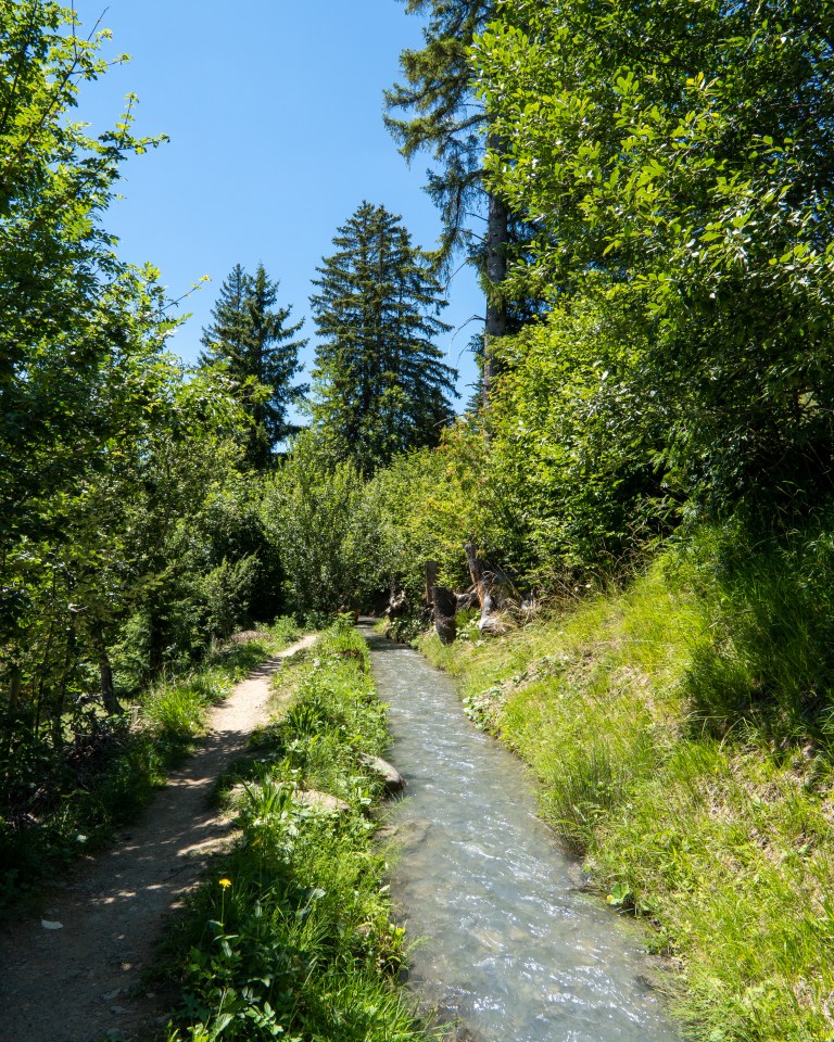 Grand Bisse d'Ayent - Rando Facile