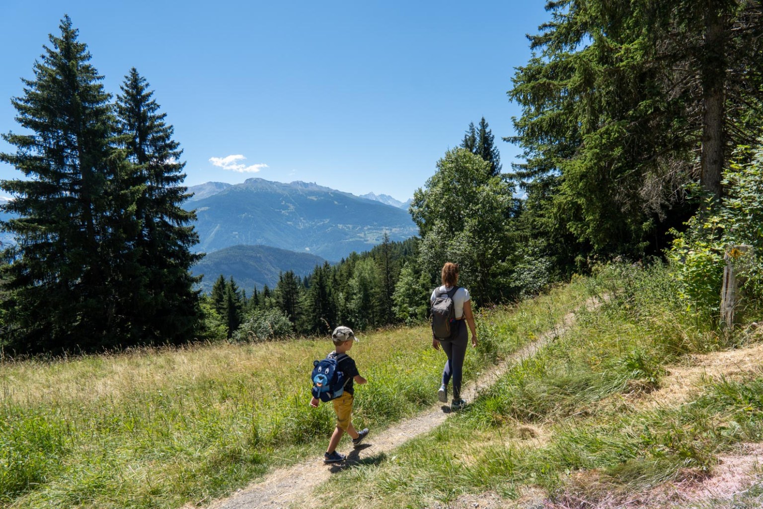 Grand Bisse d'Ayent - Rando Facile