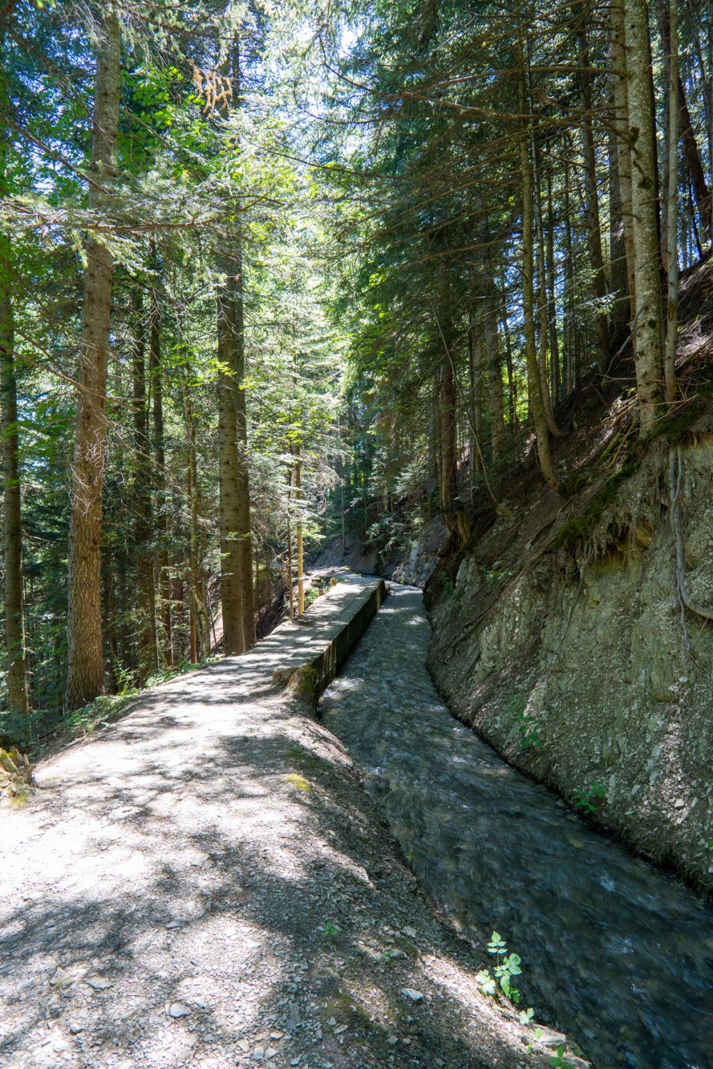 Grand Bisse d'Ayent - Rando Facile
