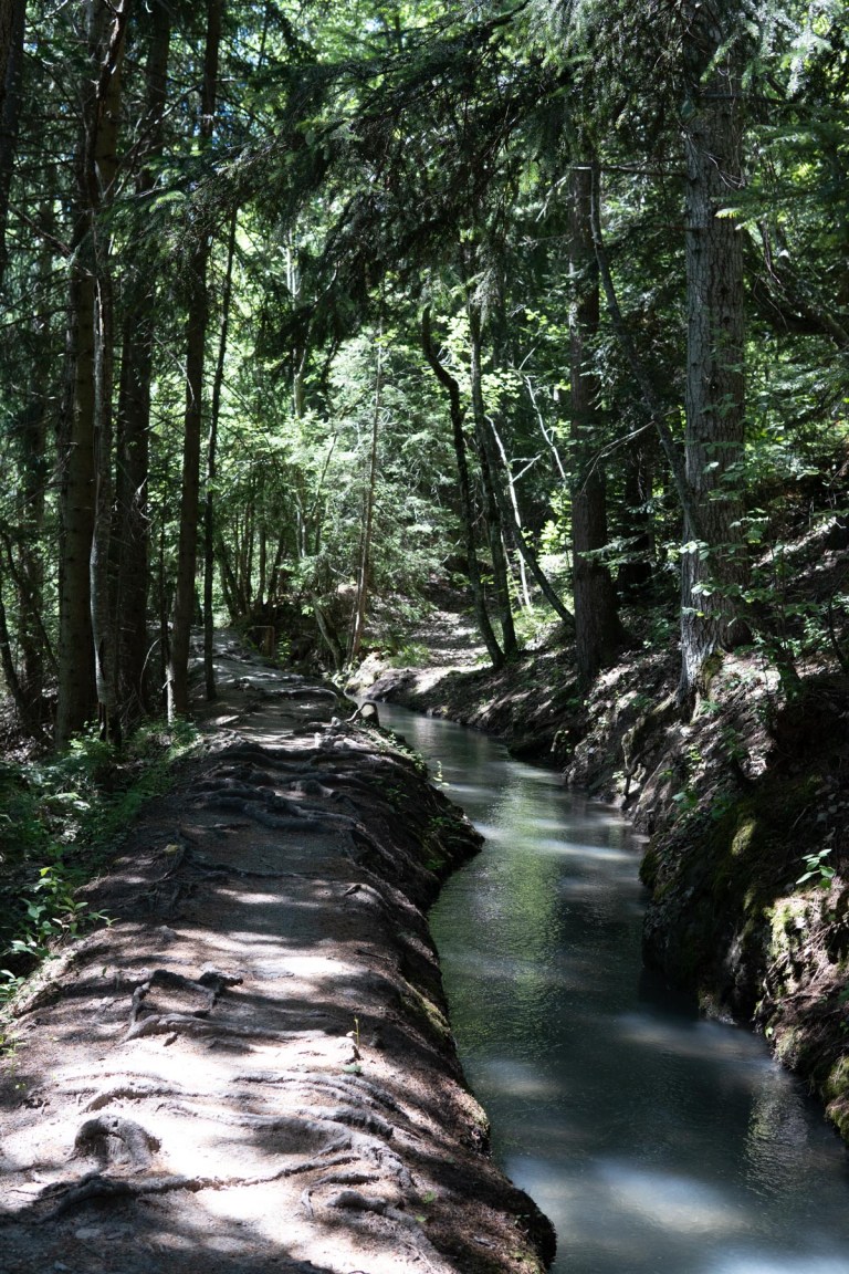 Grand Bisse d'Ayent - Rando Facile