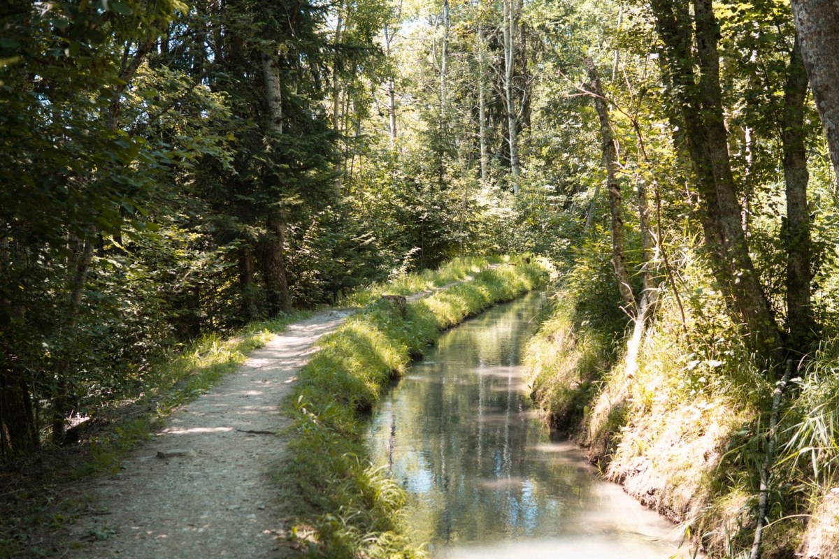 Grand Bisse d'Ayent - Rando Facile