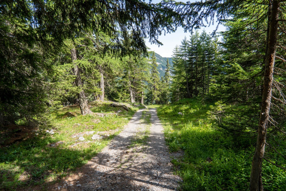 Grand Bisse d'Ayent - Rando Facile