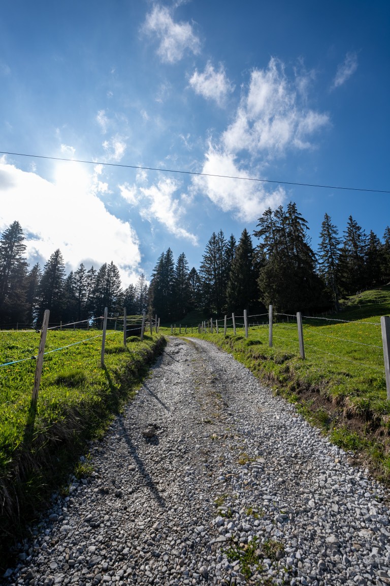 La Berra depuis la Valsainte - Rando Facile